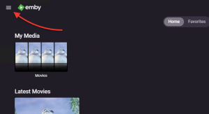 一步一步的 Emby 指南 [2024] - RapidSeedbox