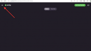 一步一步的 Emby 指南 [2024] - RapidSeedbox