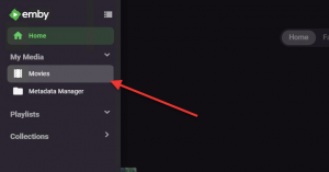 一步一步的 Emby 指南 [2024] - RapidSeedbox