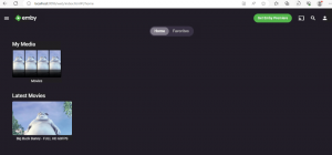 Guía Emby paso a paso [2024] - RapidSeedbox