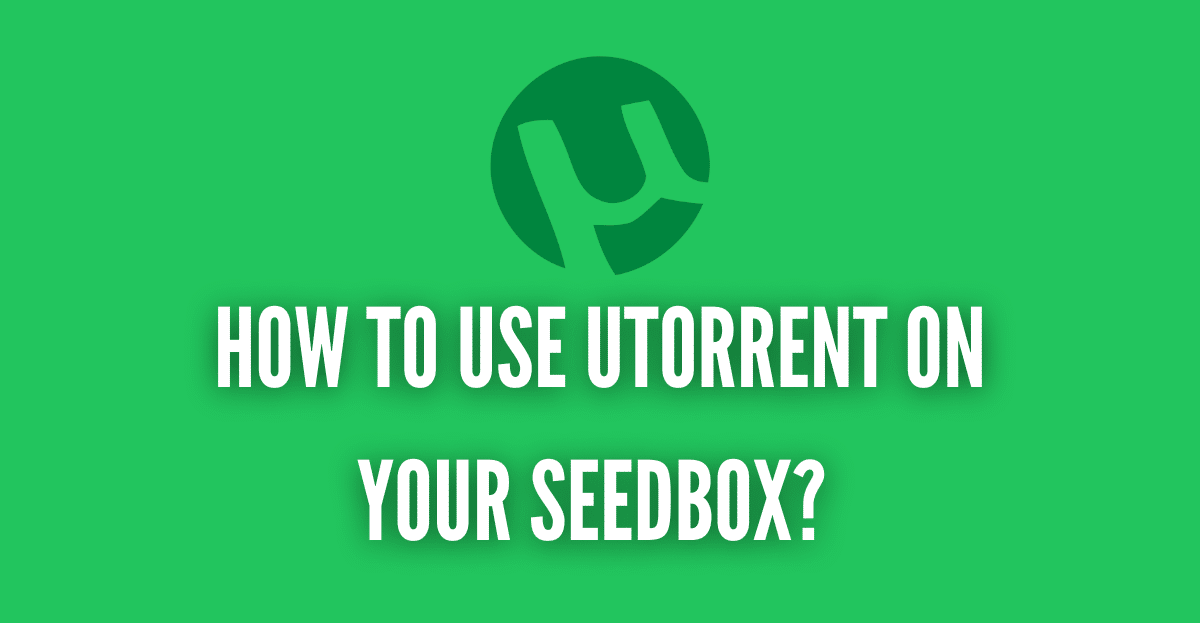 How to use uTorrent on your Seedbox - RapidSeedbox