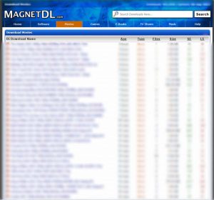 MagnetDL: Review and Alternatives - RapidSeedbox