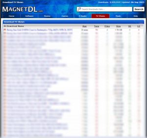 MagnetDL: Review and Alternatives - RapidSeedbox