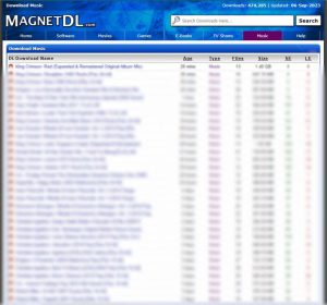 MagnetDL: Review and Alternatives - RapidSeedbox