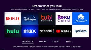 Using Plex on Roku: A Detailed Guide - RapidSeedbox