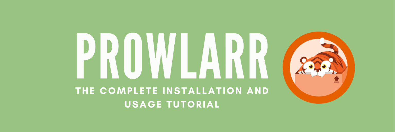 Prowlarr Guide: How to Install, Set Up, and Use it - RapidSeedbox