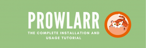 Prowlarr Guide: How to Install, Set Up, and Use it - RapidSeedbox