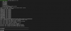 Radarr Full Guide - How to Install, Use & More - RapidSeedbox