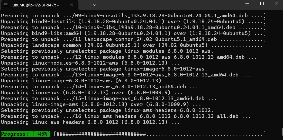 How to Setup and Use the Rammerhead Browser? - RapidSeedbox