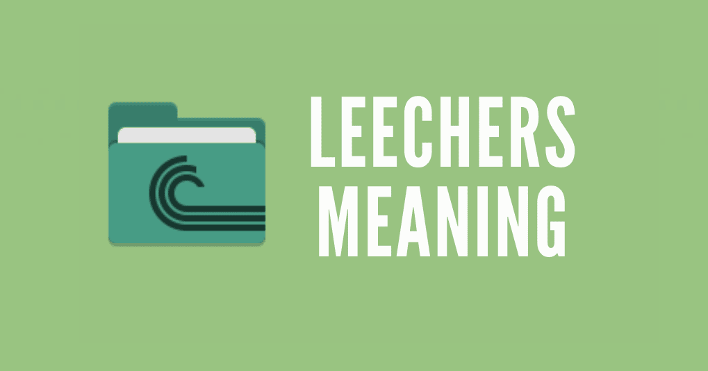 Leechers Meaning: What is a leecher? - RapidSeedbox