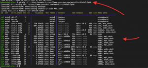 How to Use YT-DLP: The Complete Guide (2024) - RapidSeedbox