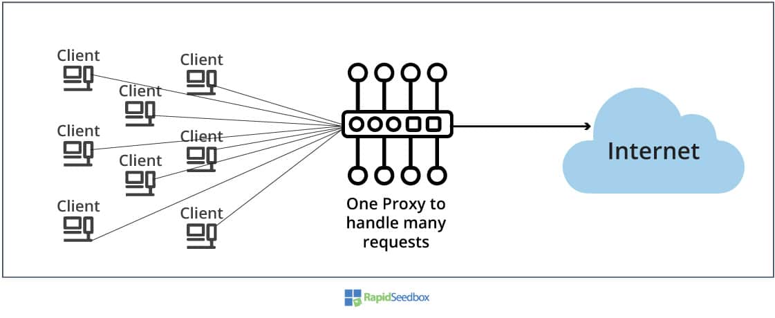Types of Proxy: Everything you Need To Know About. - RapidSeedbox