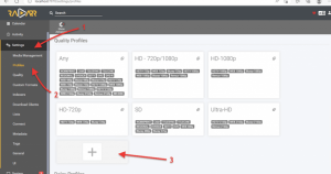 Radarr Full Guide - How to Install, Use & More - RapidSeedbox